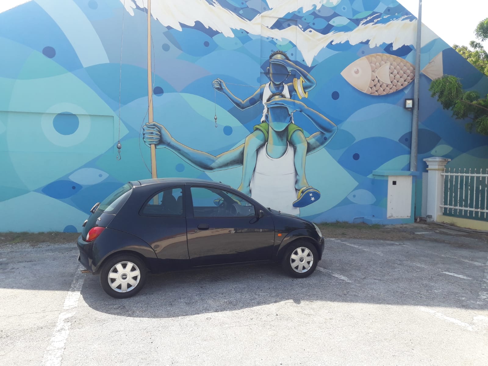 Ford Ka | een Stage op Curacao